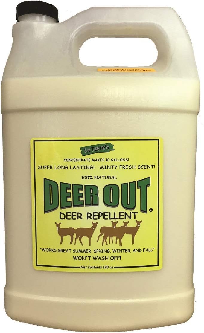Amazon.com: Deer Out 32oz Concentrate Deer Repellent : Health & Household
