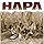 Hapa - Hapa - Amazon.com Music