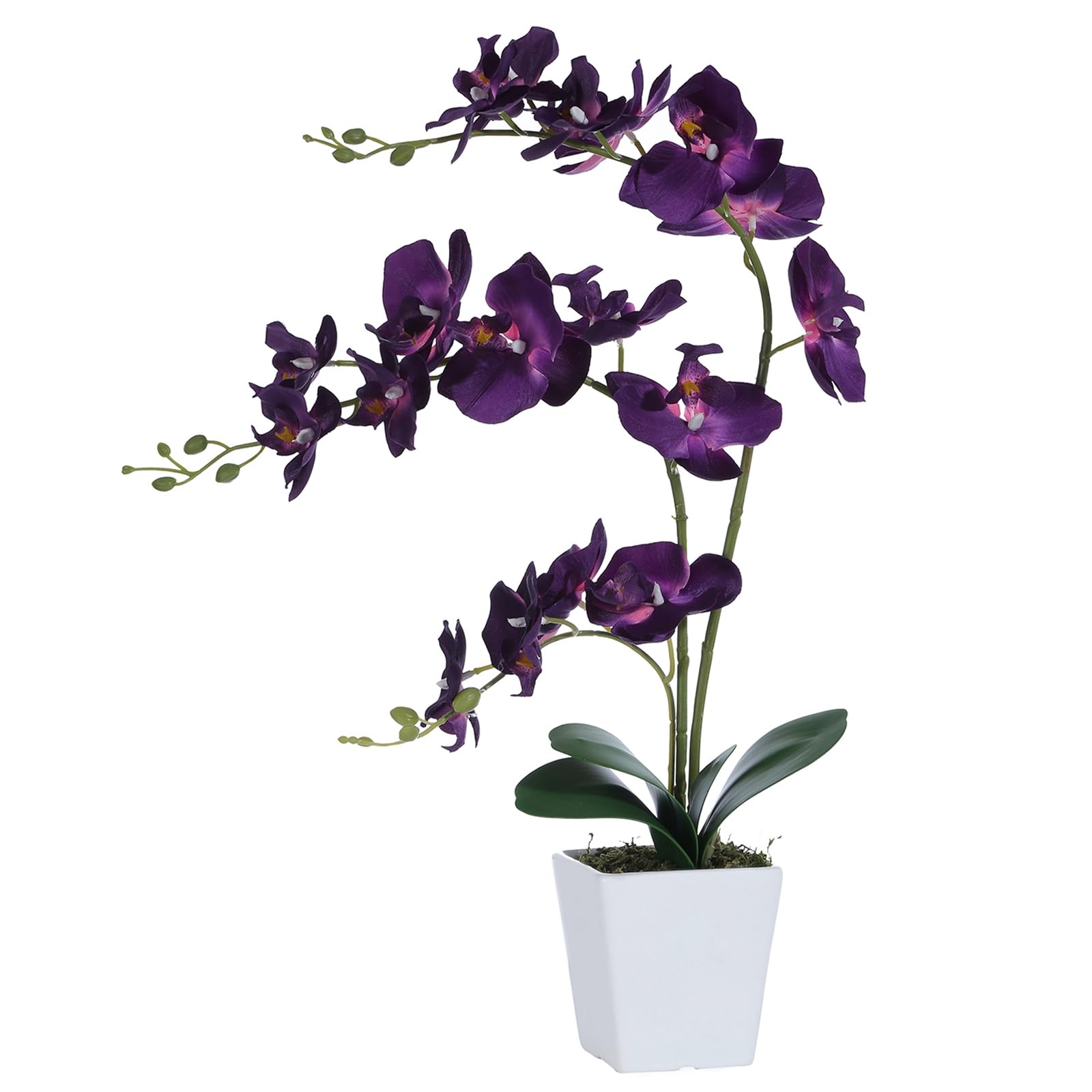 Amazon.com: YSZL Faux Orchid in Vase Artificial Orchid in Ceramic Vase ...