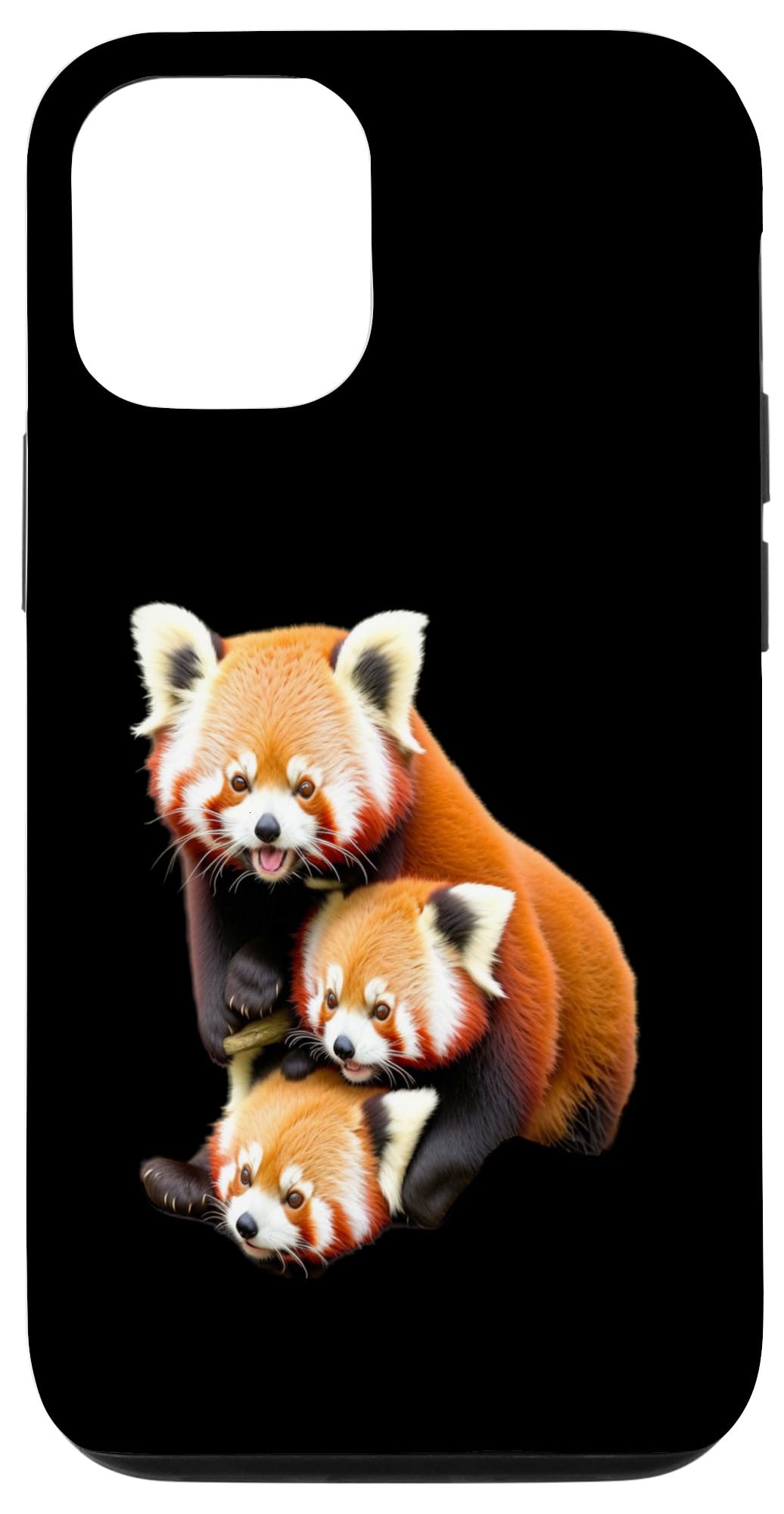 Cute Red Pandas