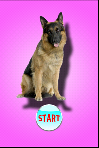 Tricky Dog - App on the Amazon Appstore
