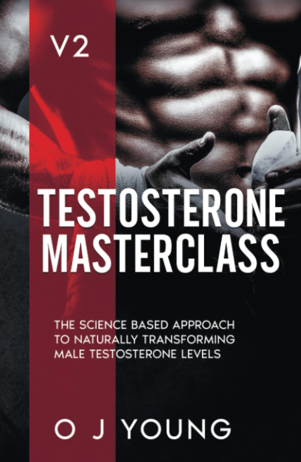 Testosterone Masterclass Version 2: The Science based approach to ...