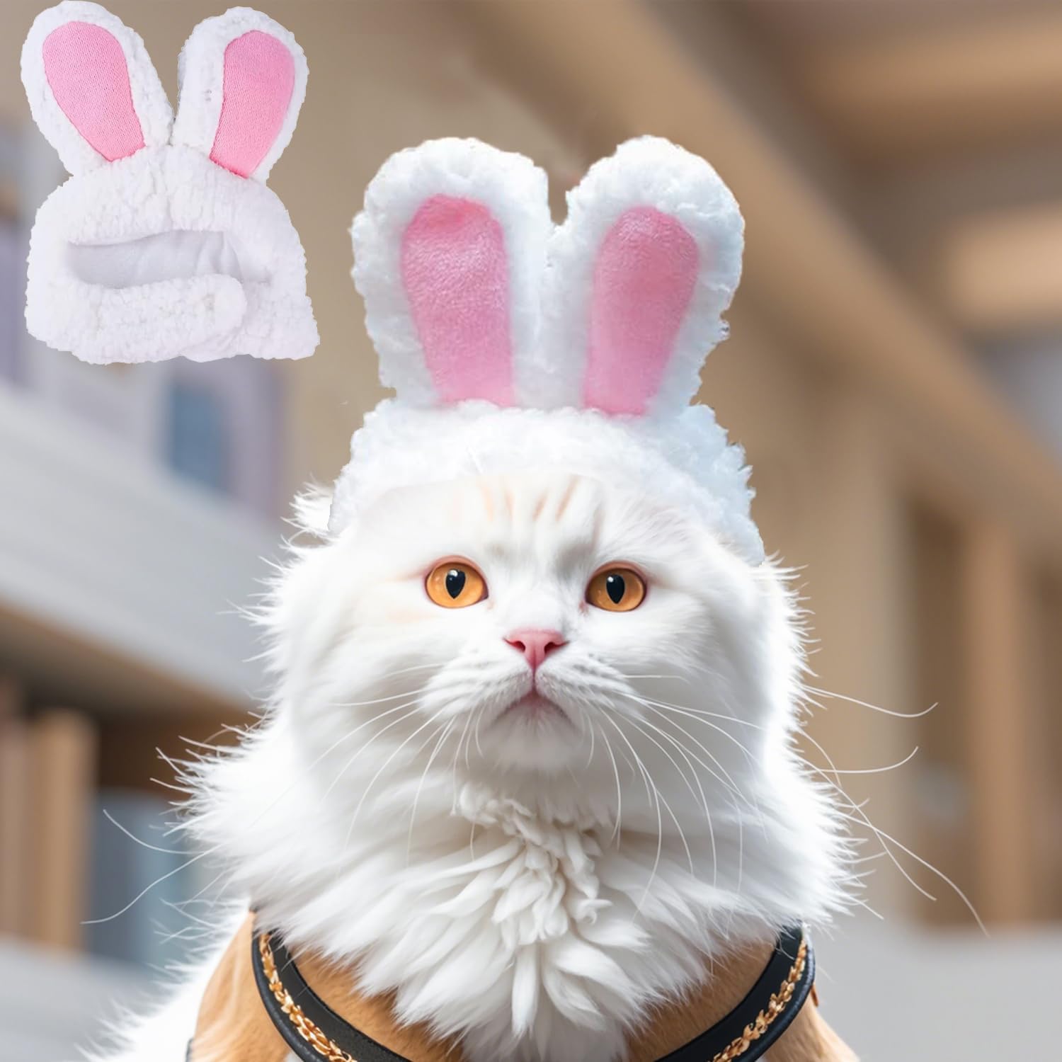 Norhogo Cat Bunny Hat, Cute Costume Bunny Rabbit Hat for Cat Small Dogs ...