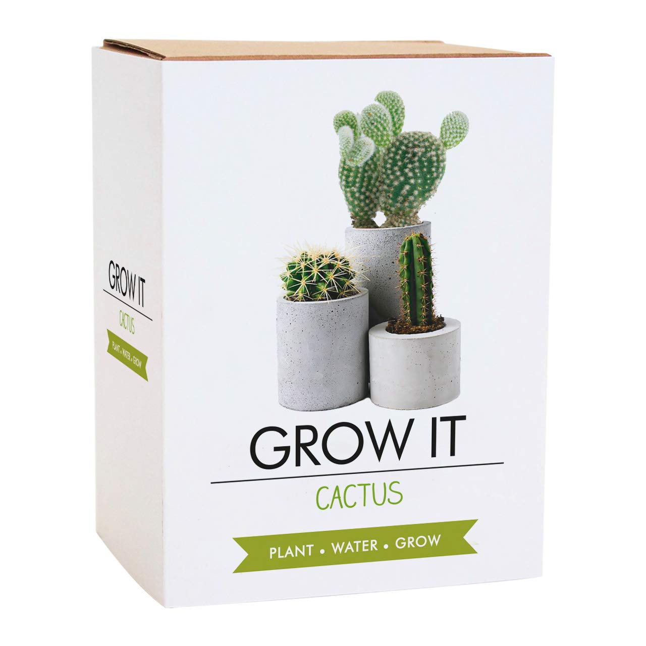 Gift Republic Grow Your Own Cactus Kit - Cacti Plant Growing Set - Gift ...
