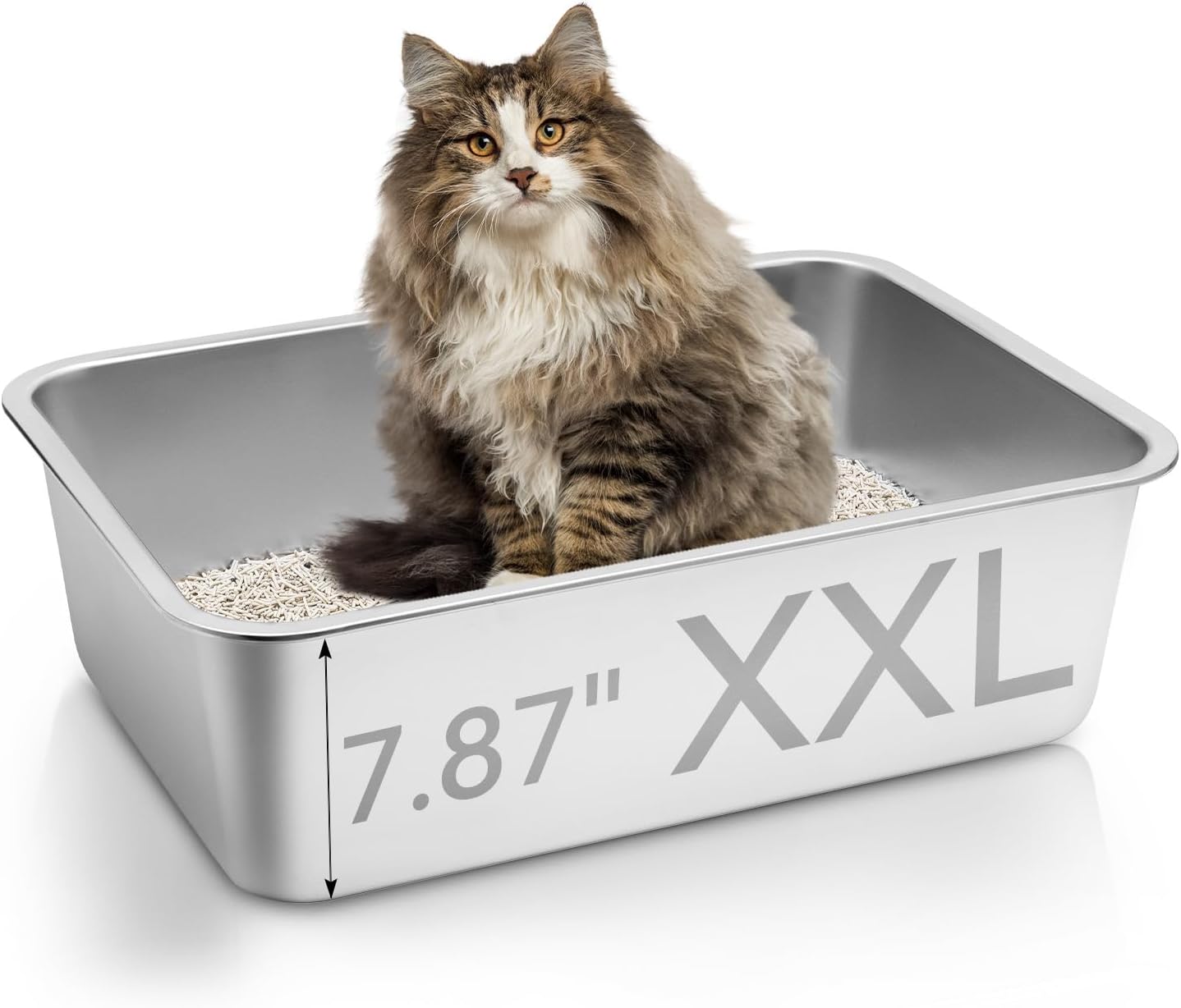 Amazon.com: LEGOURNS Stainless Steel Litter Box, 23.6x15.8x8 Inch(Deep ...