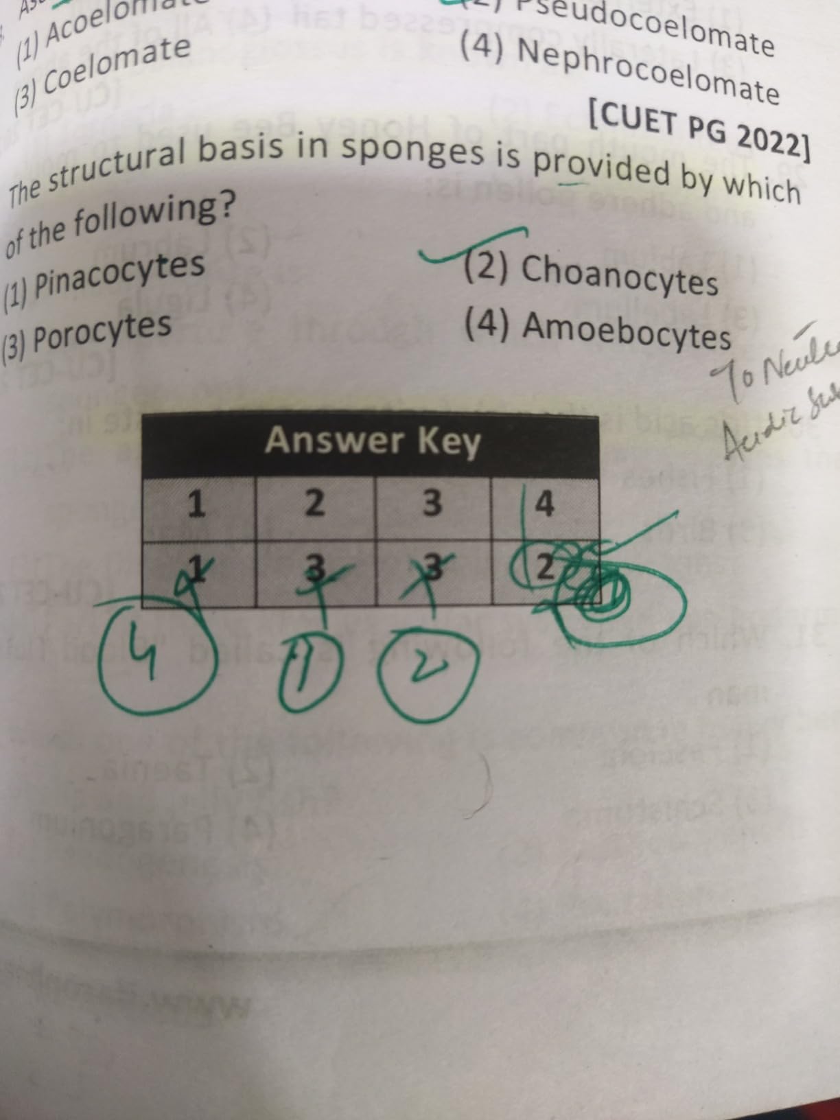 Buy CUET PG Zoology Entrance Exam Book 2025 | Previous Year Question Papers (2022-2024) with ...