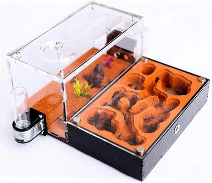Amazon.com: Large Plaster & Acrylic Ant Farm Castle | Ant Nest with ...