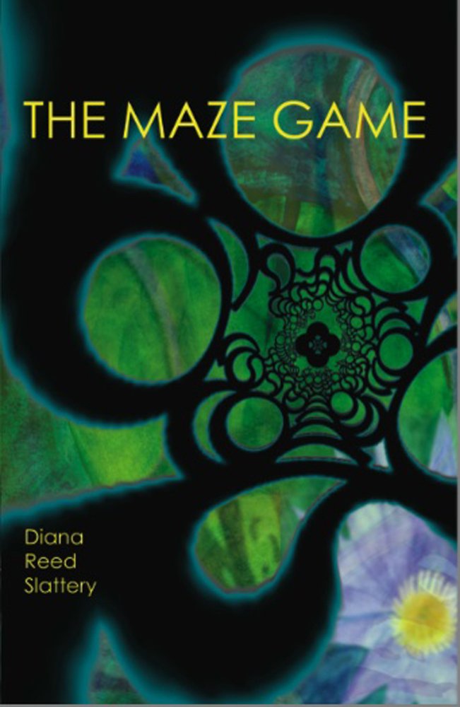 The Maze Game - Kindle edition by Slattery, Diana Reed. Reference ...