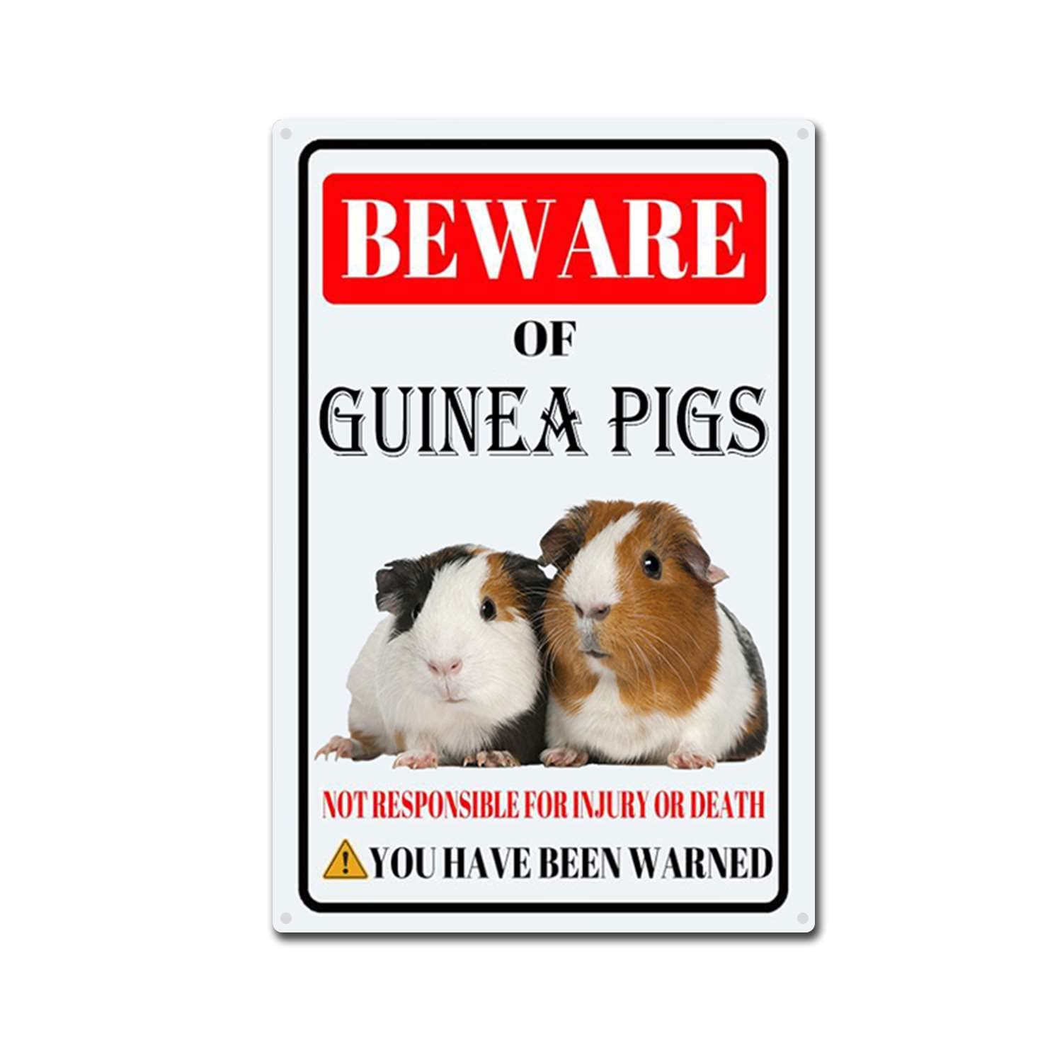 Amazon.com: RSPYOAG Guinea Pigs Tin Sign Beware of Guinea Pigs Metal ...