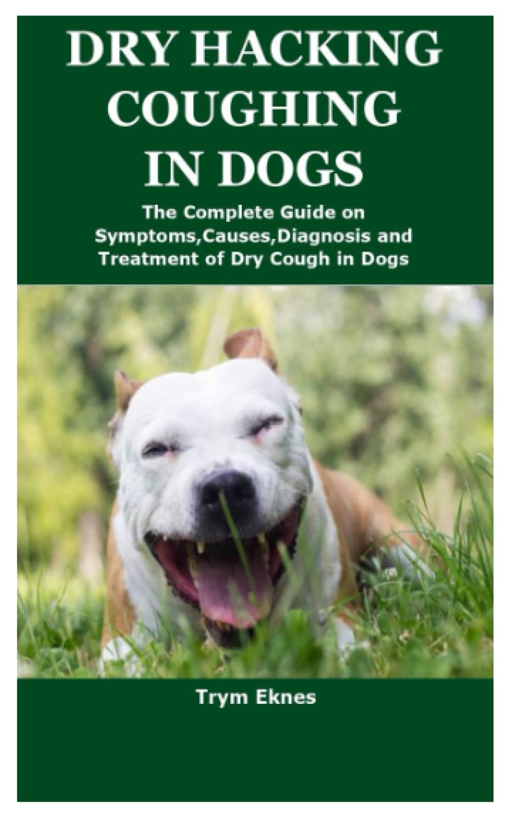 Buy DRY HACKING ING IN DOGS: The Complete Guide on Symptoms,Causes ...