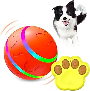 Amazon.com : Automatic Rolling Ball for Dogs, Rechargeable Automatic ...