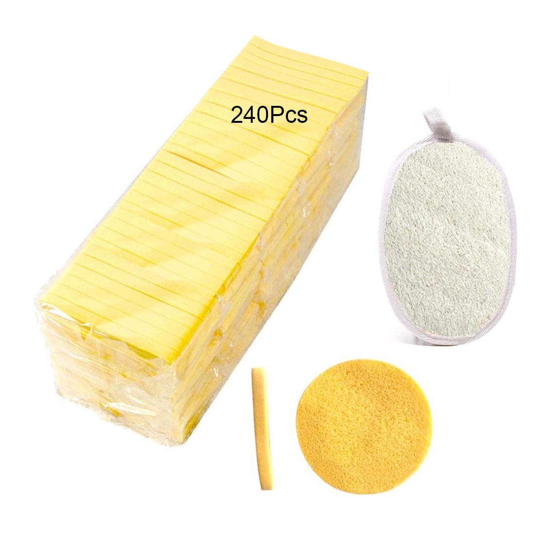Amazon.com : Facial Sponge Compressed,240 Count PVA Professional Makeup ...