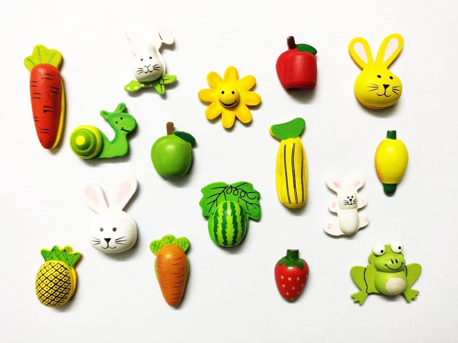 CraftDev Wooden Nature Theme Magnets - Set of 40, Multicolour : Amazon ...