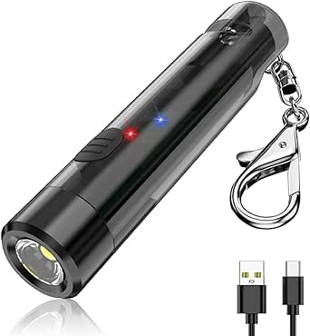 Amazon.com: Minsk Keychain Flashlight, 200 Lumens Keychain Light, USB ...