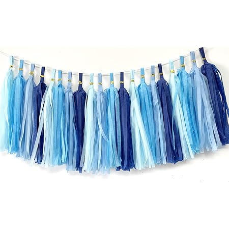 Amazon.com: Blue Tassel Garland,Tissue Tassel Banner for Baby Showe Boy ...