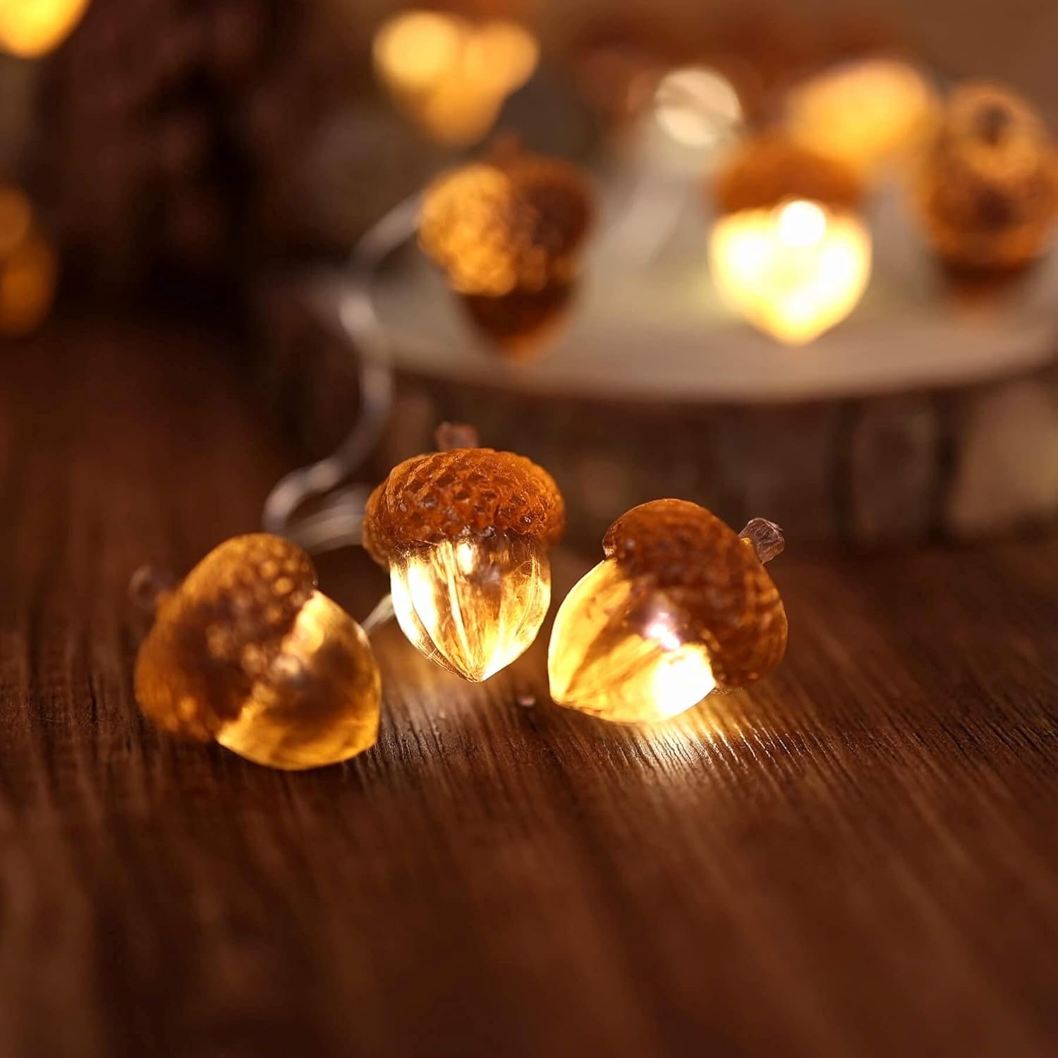 Amazon.com: Thanksgiving Acorn Lights Fall Garland Decorative Fairy ...