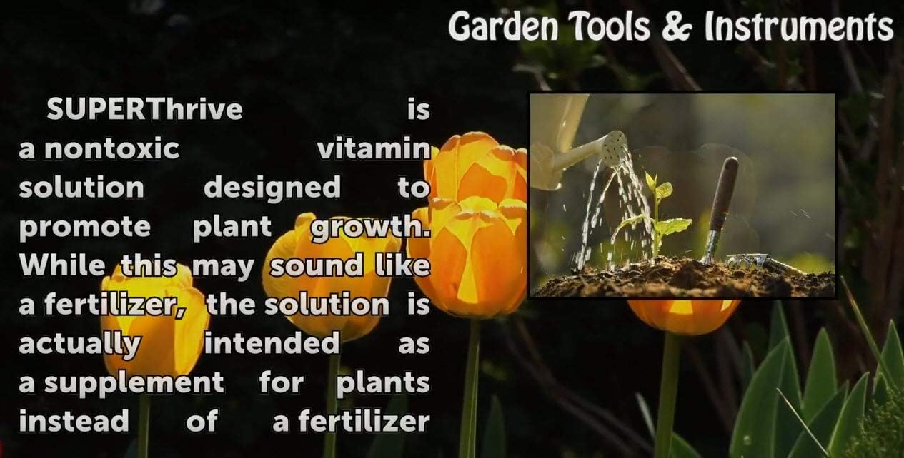 SUPERthrive VI30179 Plant Vitamin Solution, 1 Gallon, Clear & Hydrofarm ...