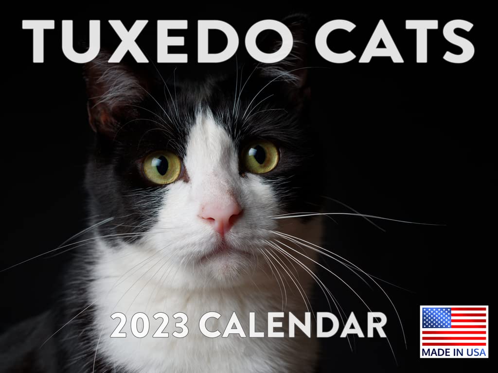 Tuxedo Cat Calendar 2025 Monthly Wall Calender 12 Month American ...