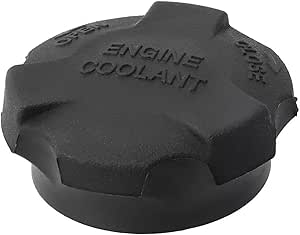 Amazon.com: 25441-26100 2544126100 For Hyundai Kia Radiator Coolant ...