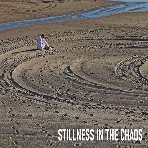 Amazon.co.jp: Stillness in the Chaos : Paul Walla: デジタルミュージック