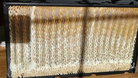 Amazon.com: EFP Humidifier Filter 1041 for Aircare, Essick, & Bemis - 1 ...