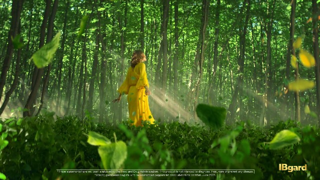 Snapklik.com : IBgard