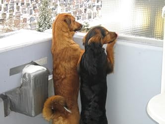 Schlauer Hund. So fördern Sie, was in ihm steckt : Gabriele Linke-Grün ...