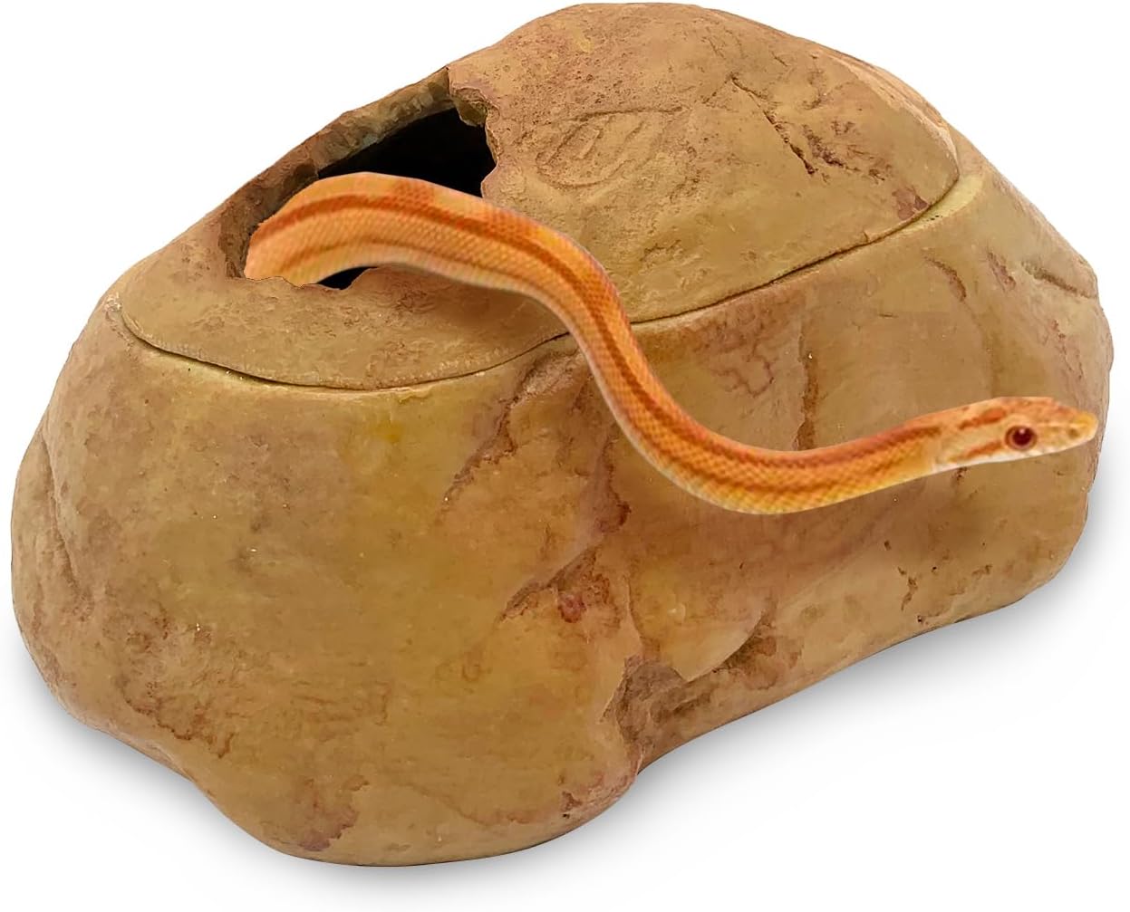 Amazon.com : Hamiledyi Snake Hides and Caves, Resin Reptile Rock ...