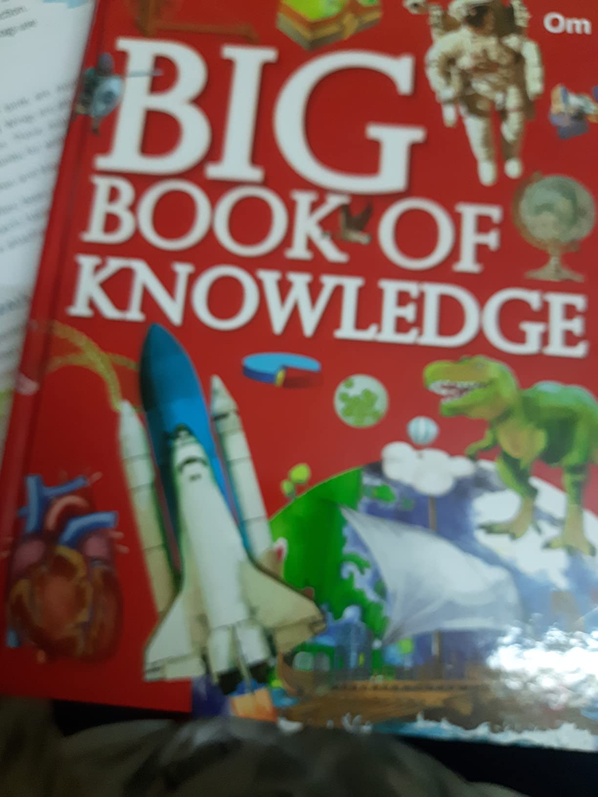 Encyclopedia: Big Book of Knowledge : Om Books Editorial Team: Amazon ...