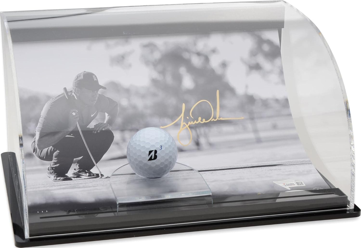 Tiger Woods Autographed Lining It Up Photograph with Curved Golf Ball ...