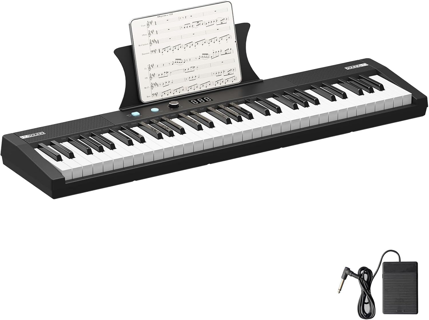 Amazon.com: 61-key portable electronic keyboard piano, semi-weighted ...