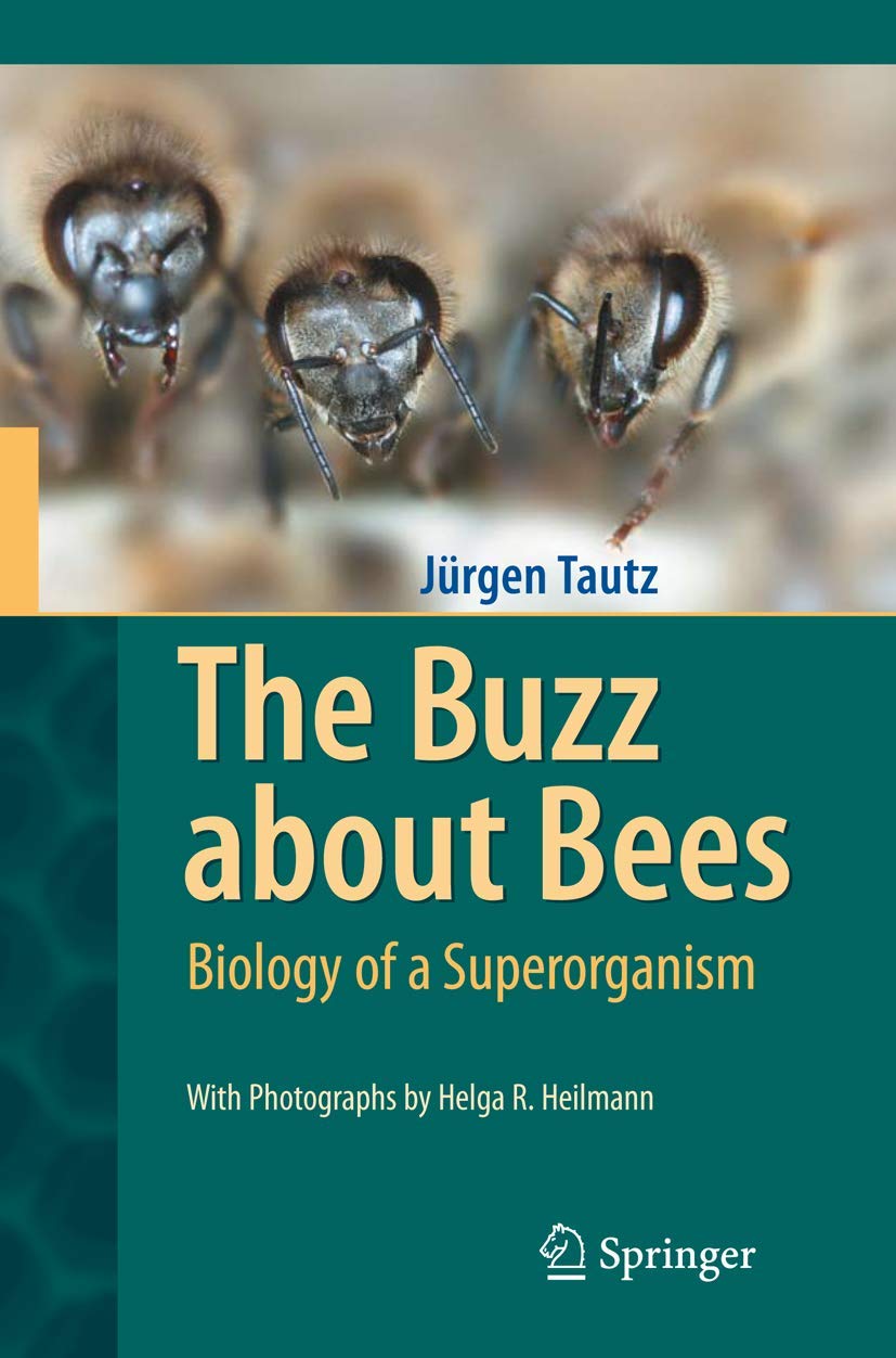 Amazon.com: The Buzz about Bees: Biology of a Superorganism ...