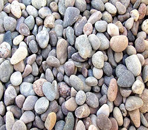 14-20mm Decorative Pea Gravel 20KG Bag : Amazon.co.uk: DIY & Tools