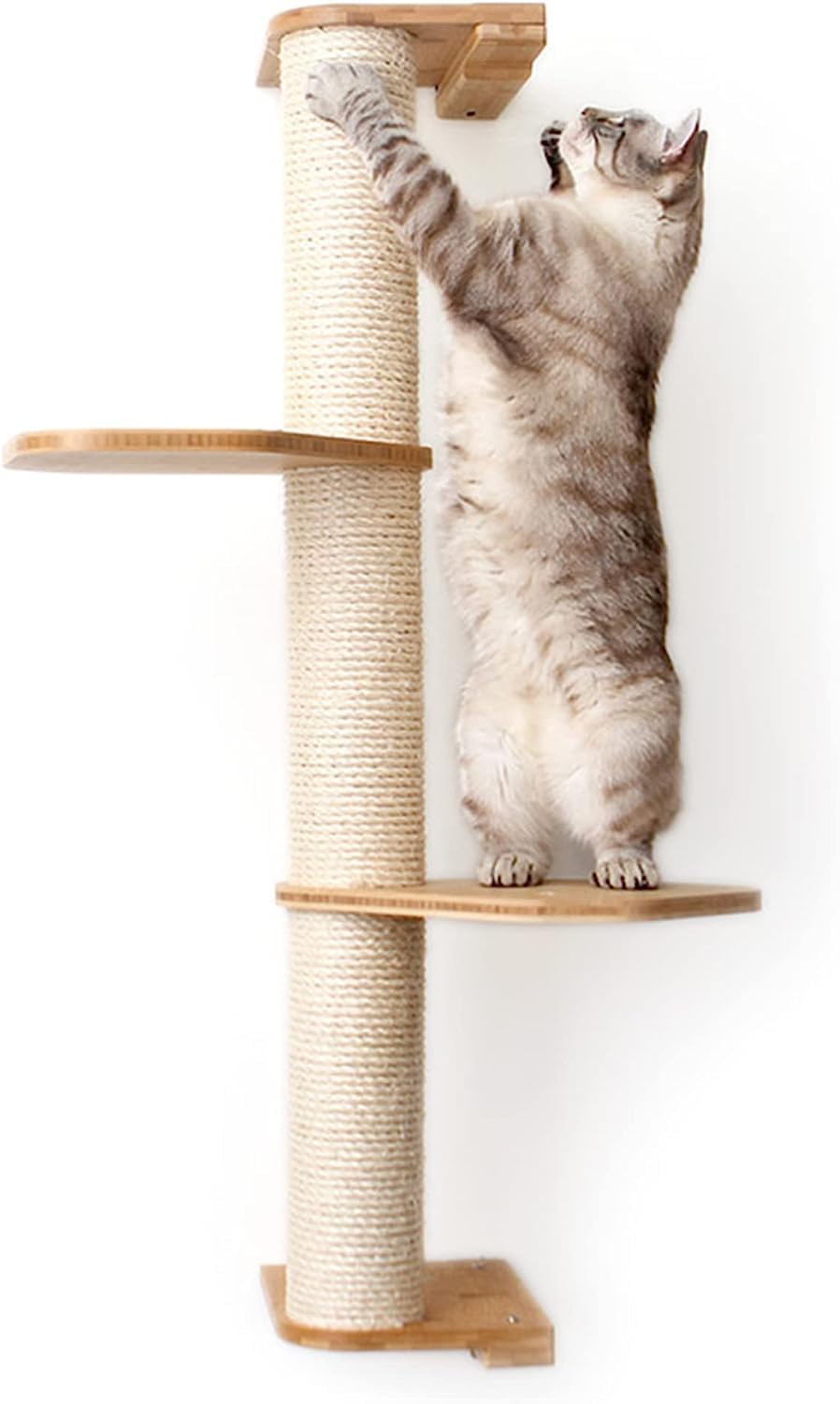 Amazon.com : Catastrophic Creations Cat Scratching Post – 2-Tier Cat ...