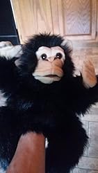 Amazon.com: Folkmanis Baby Chimpanzee Hand Puppet : Toys & Games
