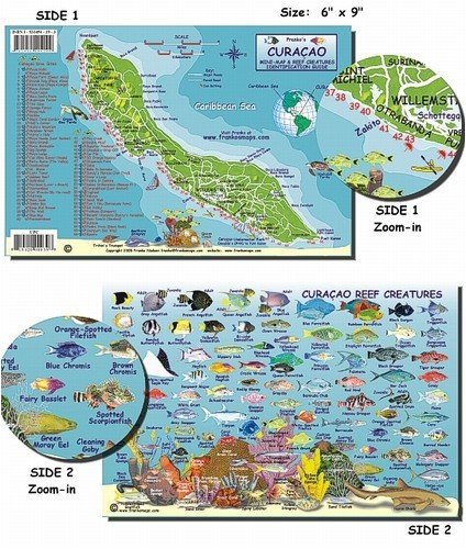 Curacao Reef Fish And Creature Guide Franko Laminated Maps Fish ...