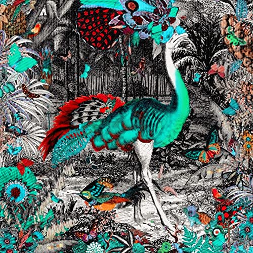 Play We're All Animals by Darze on Amazon Music