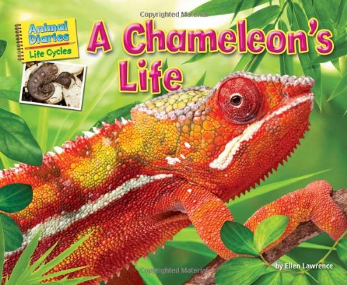 A Chameleon's Life (Animal Diaries: Life Cycles): Lawrence, Ellen ...