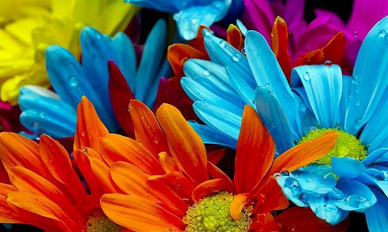 ABSTRACT WALLPAPER:Amazon.de:Appstore for Android