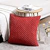Amazon.com: Fancy Homi 2 Packs Red Decorative Throw Pillow Covers 18x18 ...