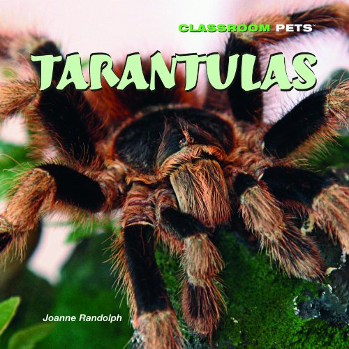 Tarantulas (Classroom Pets) : Randolph, Joanne: Amazon.in: Books