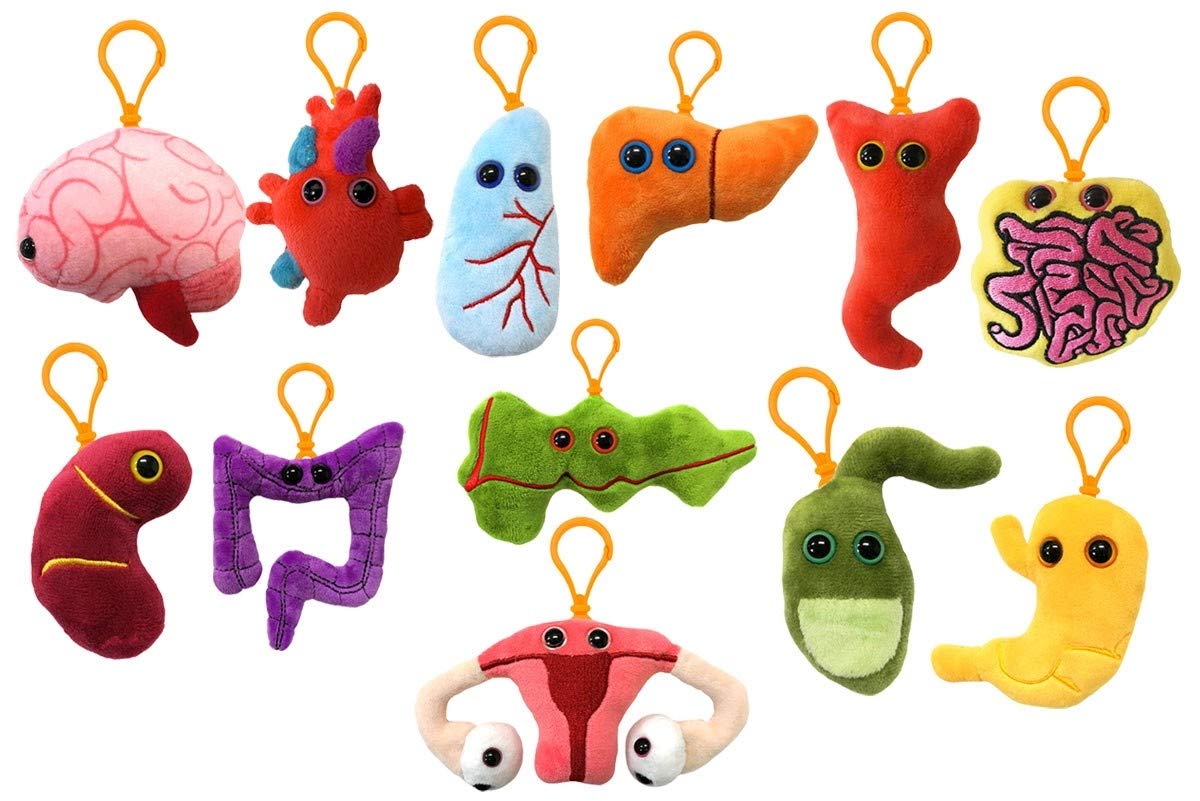 GIANTmicrobes Mini Organs Keychain 12-Pack : Amazon.in: Fashion