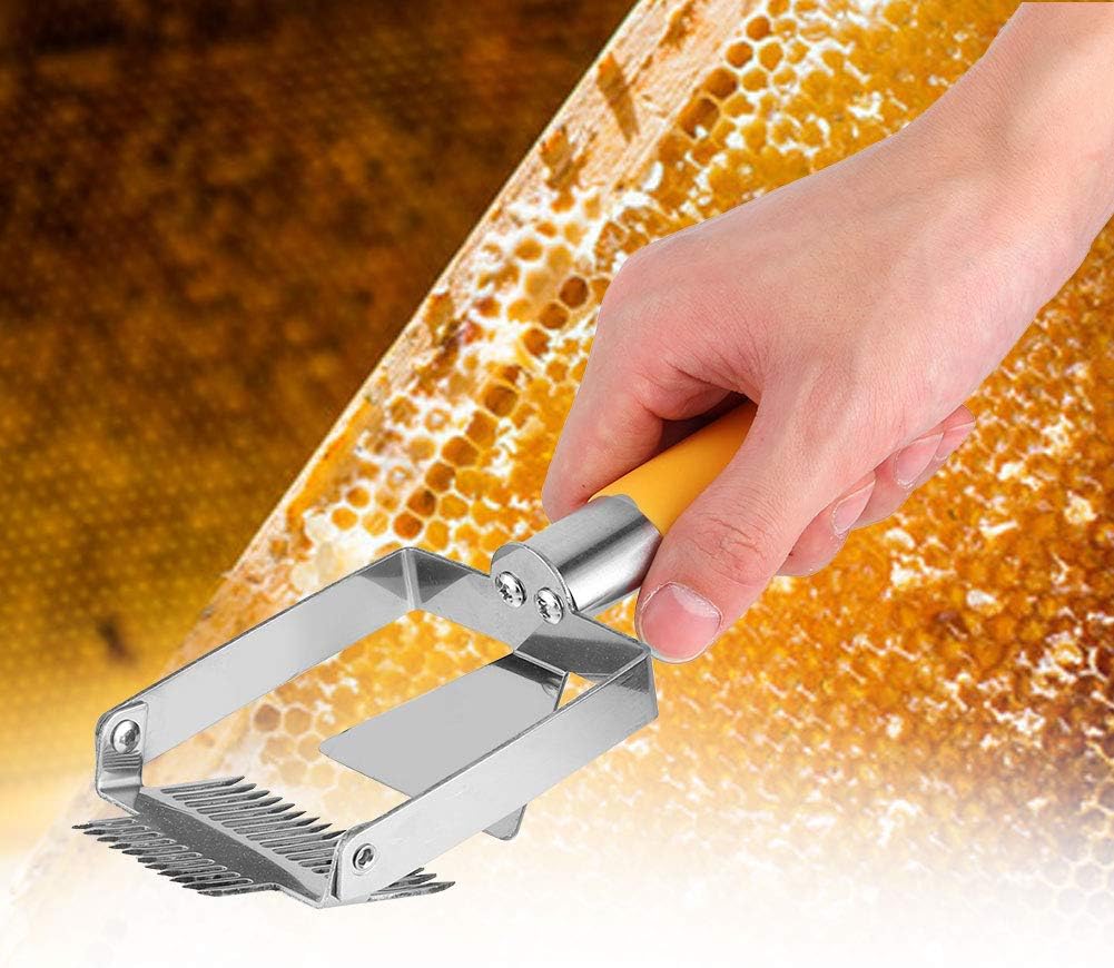 Atyhao Beehive Knife Scraper, Stainless Steel Beekeeping Uncapping Fork ...