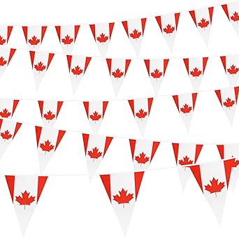33 ft 38 Pieces Canada Flag Leaf Pennant Banner, Triangle Canadian ...