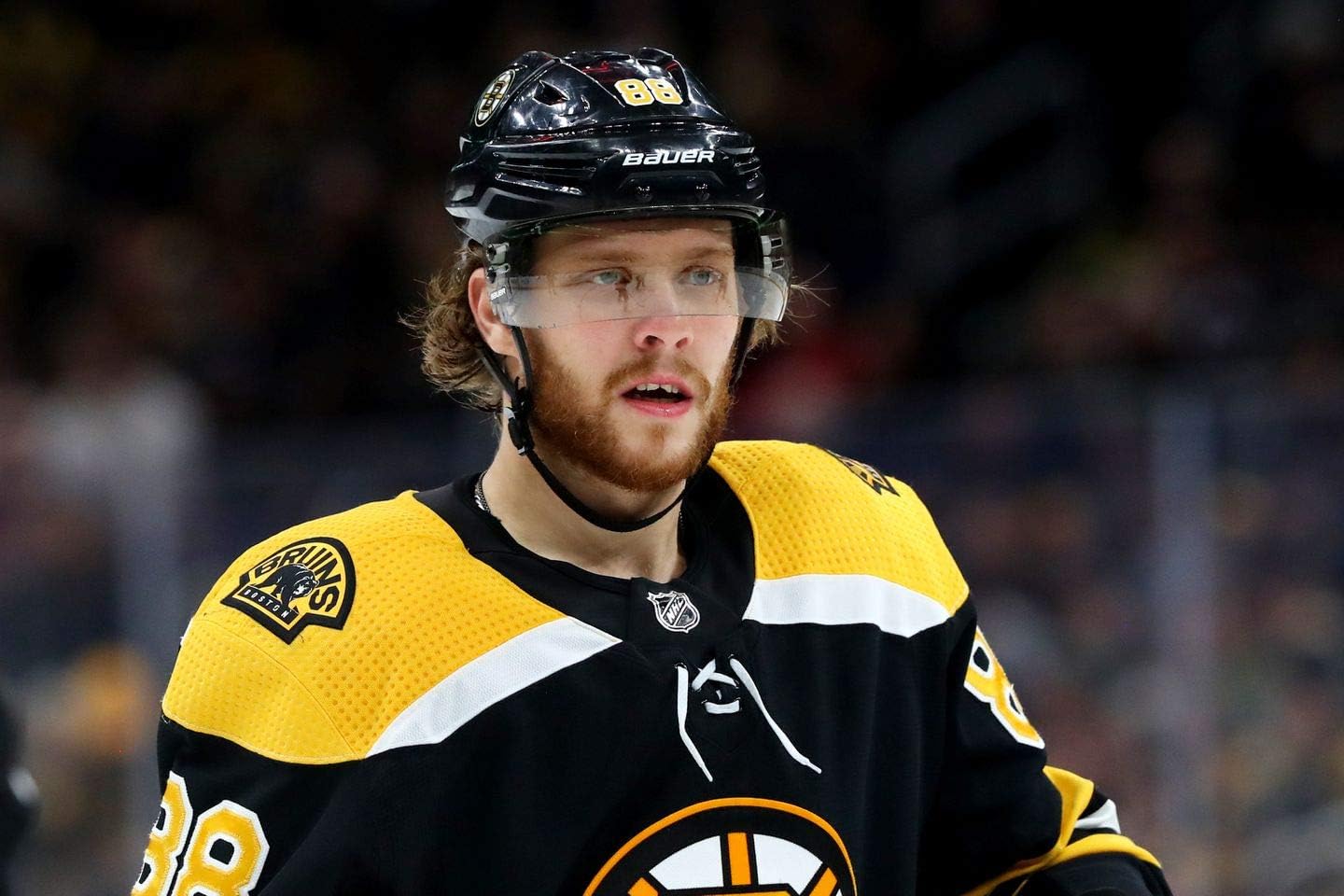 Amazon.com: David Pastrnak Poster Print, Hockey Player, Wall Art, David ...