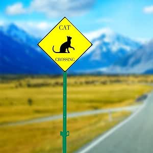 Amazon.com : WSDESDEC Cat Xing Cat Crossing Sign Metal Yellow Aluminum ...