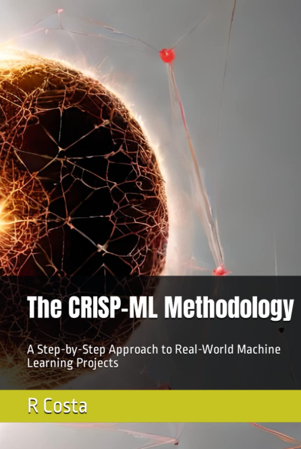 Amazon.com: The CRISP-ML Methodology: A Step-by-Step Approach to Real ...