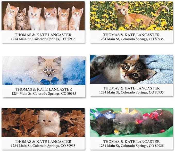 Amazon.com : Colorful Images Everyday Cats Return Address Mailing ...