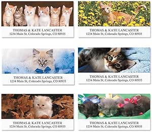 Amazon.com : Colorful Images Everyday Cats Return Address Mailing ...
