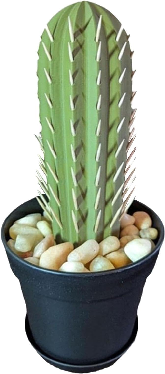 Amazon.com: Cactus Toothpick Holder, 3D Printed Cactus Toothpicks ...